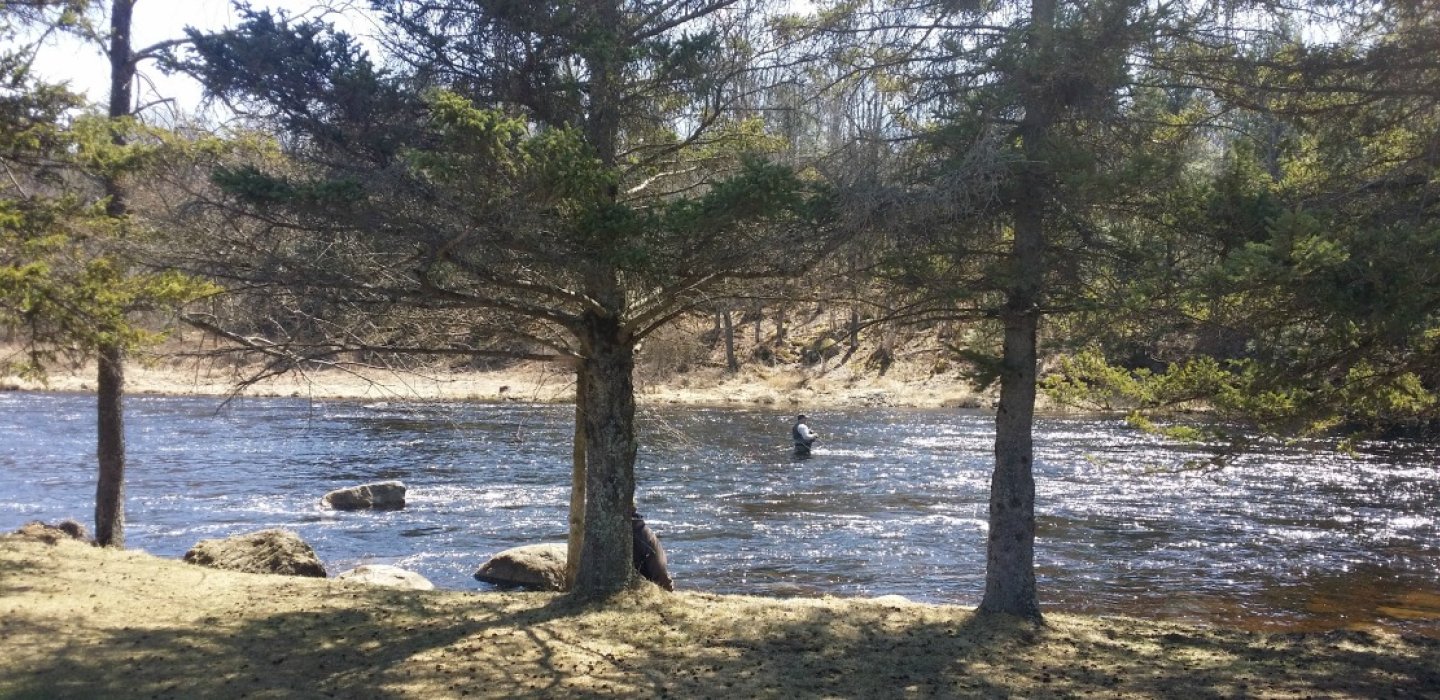 Saint Regis River - St Regis Falls | Visit Malone Saint Regis River - St Regis Falls | Visit Malone